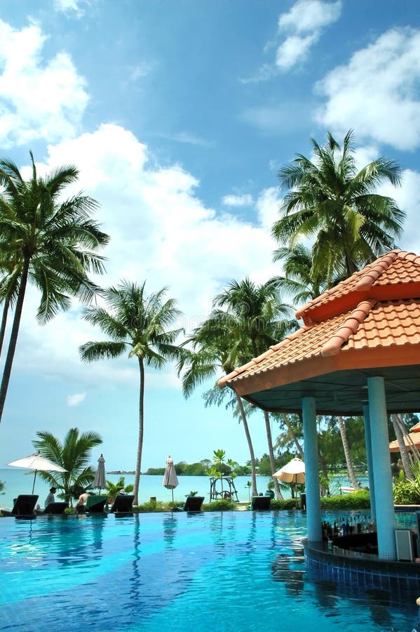 Pool with Bar on Ocean Coast Stock Photo - Image of green, rest: 29199748