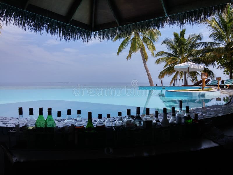 Pool with bar editorial stock photo. Image of rest, pool - 43774638