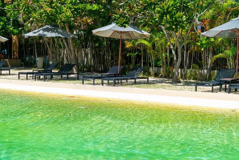 Pool Bed Around Swimming Pool Stock Image - Image of pool, paradise ...
