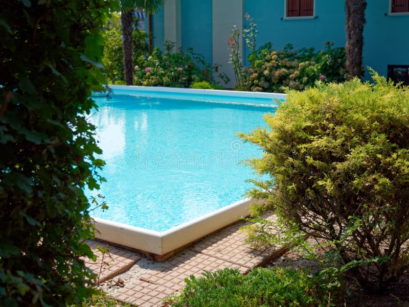 Pool with Blue Water among the Green Oasis Stock Photo - Image of coast ...