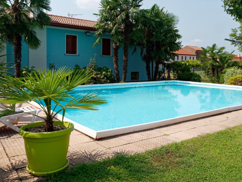 Pool with Blue Water among the Green Oasis Stock Image - Image of ...