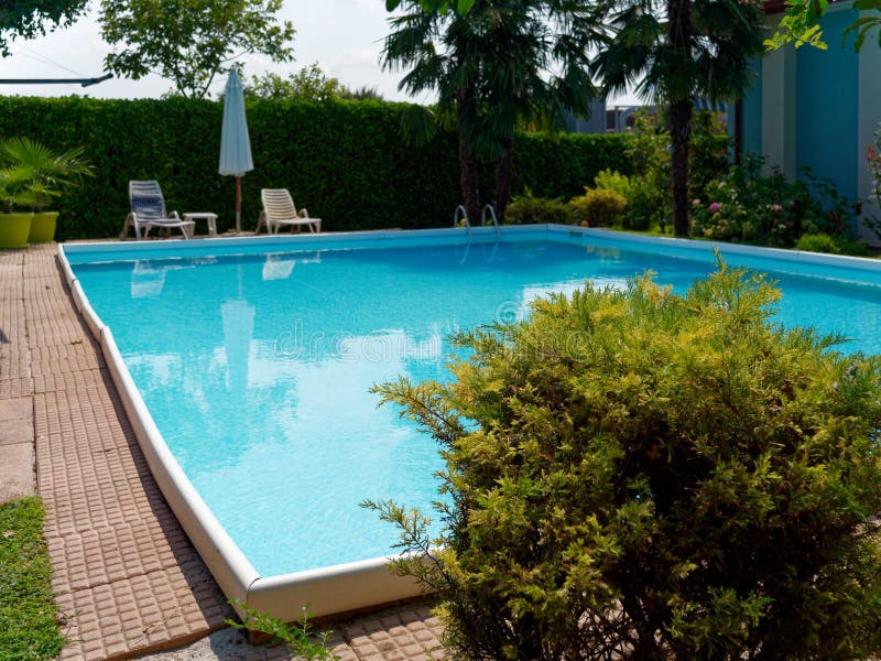 Pool with Blue Water among the Green Oasis Stock Image - Image of ...