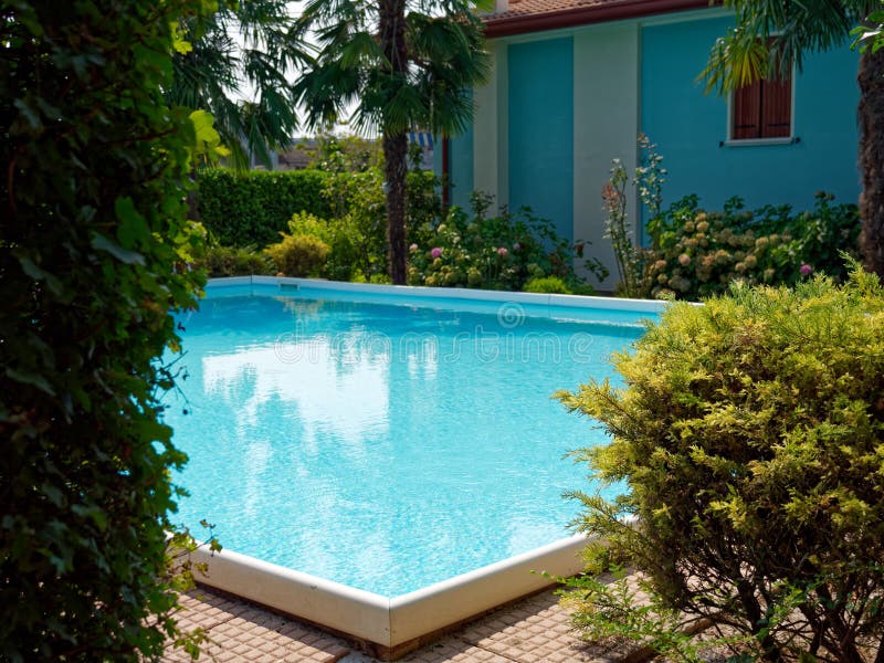 Pool with Blue Water among the Green Oasis Stock Photo - Image of coast ...