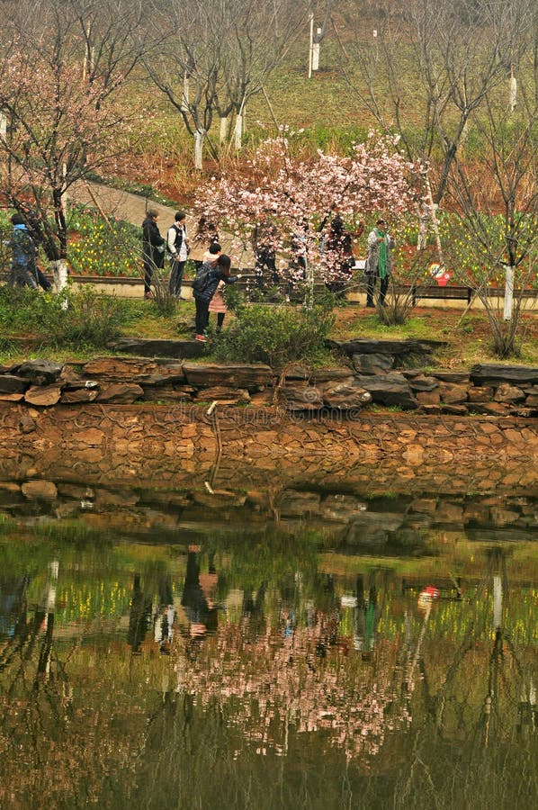 Pool Bank in Botanical Garden Editorial Stock Image - Image of ...