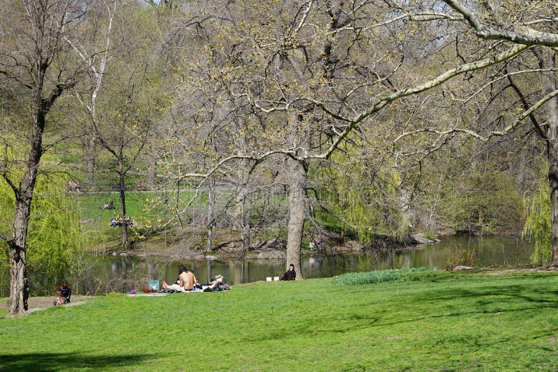 The Pool at Central Park 6 editorial image. Image of rushing - 53512590