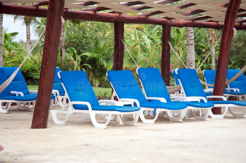Pool chairs stock photo. Image of palm, resort, summer - 16273164