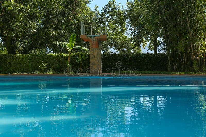 Pool with Clear Water and Trees Outdoors Stock Image - Image of ...