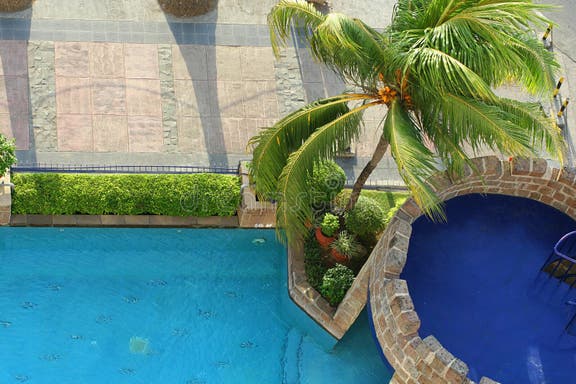 Pool with coconut tree stock photo. Image of facilities - 4437496