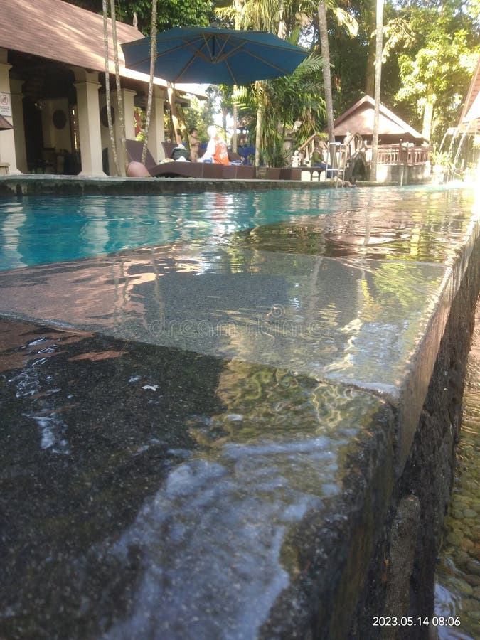 Pool fresh water123 stock photo. Image of water, tree - 277957258