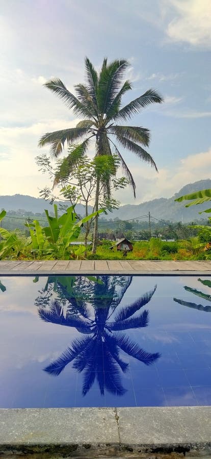 A Pool in Front of Which There is a Beautiful View and There are ...