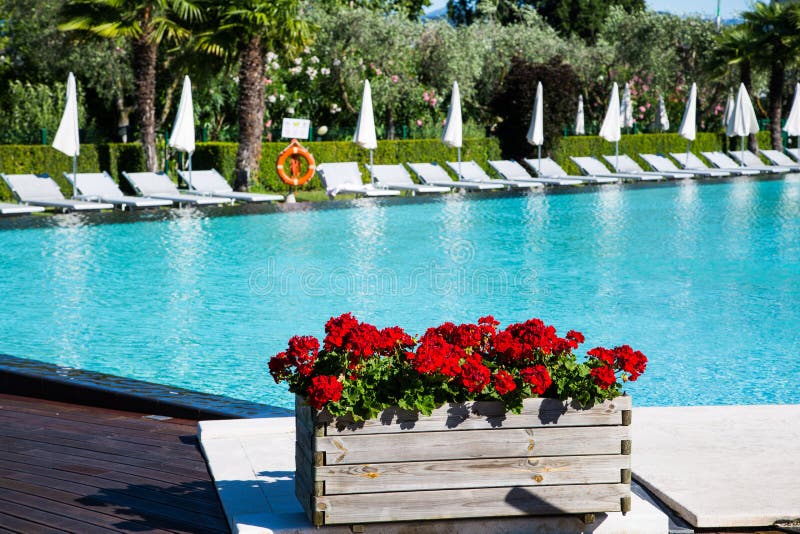 Pool, Hotel, Hotel Area, Well-kept Area, Stock Image - Image of roof ...