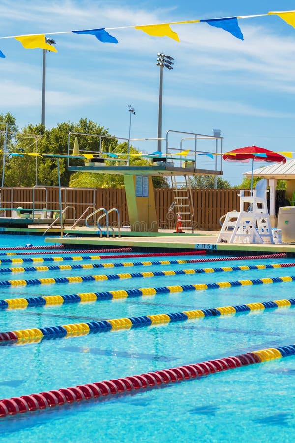 Pool lines stock image. Image of dolphin, animals, dusk - 92129199