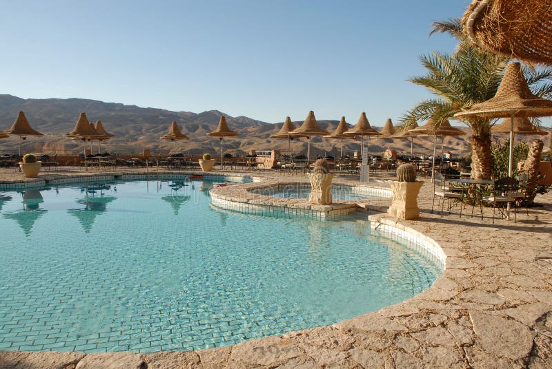 Together in desert stock photo. Image of eastern, camels - 2427008