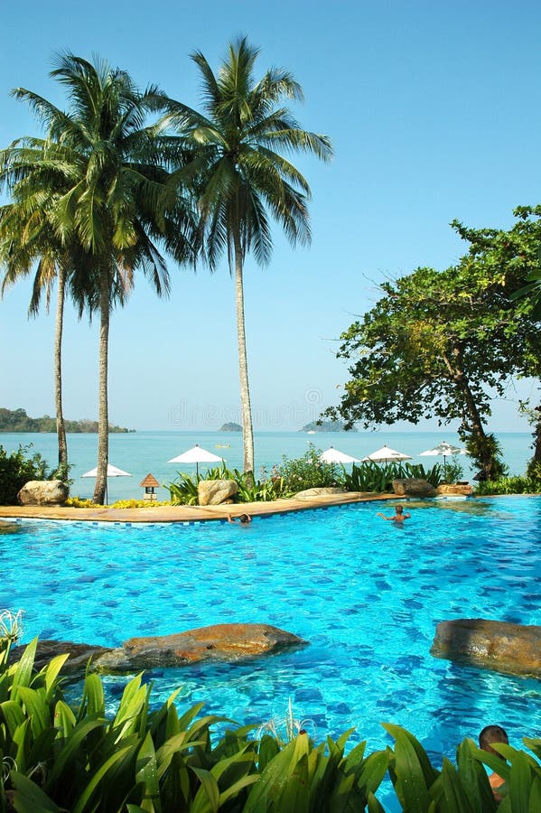 Pool on ocean coast stock photo. Image of coast, green - 29199774