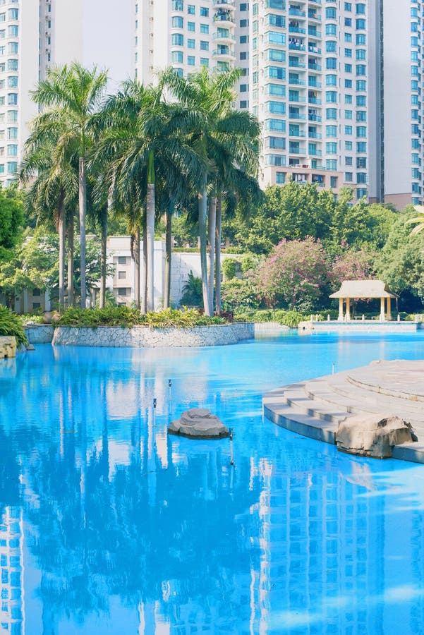 Pool, Palm Tree and Building Stock Image - Image of house, residential ...
