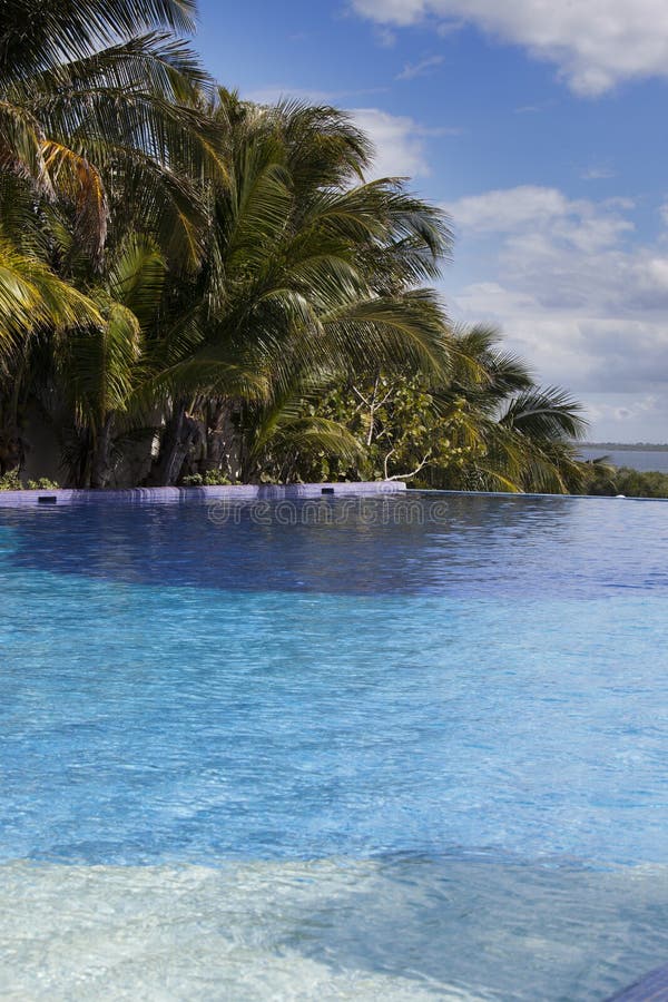 Pool and a Palm Tree Landscape in Sunny Day Stock Image - Image of home ...