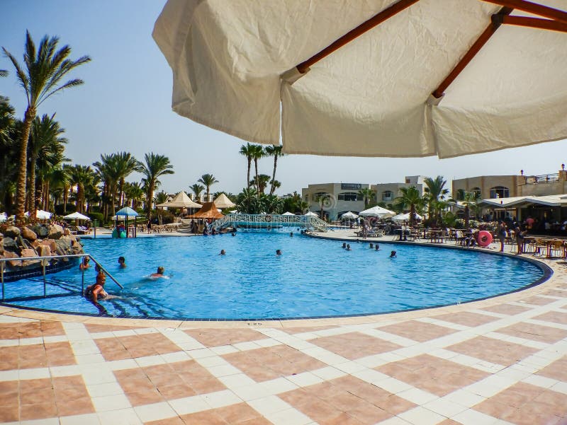 Pool with Palm Trees and Houses on Vacation in Egypt Editorial Stock ...
