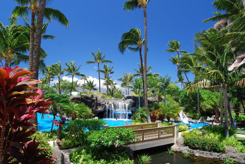 Pool in Paradise stock photo. Image of waterfall, swimming - 6792024