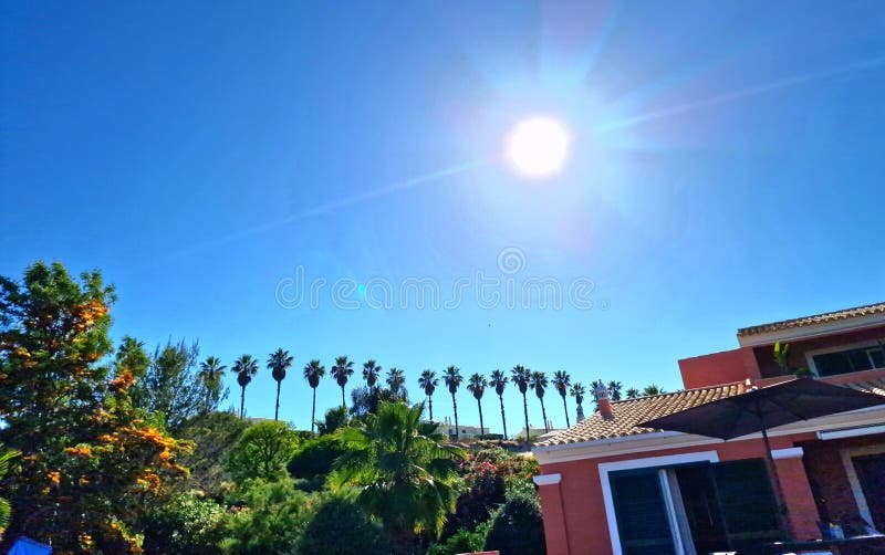 Pool Paradise Sun Resort Relax Green Tree Lux Sky Stock Image - Image ...