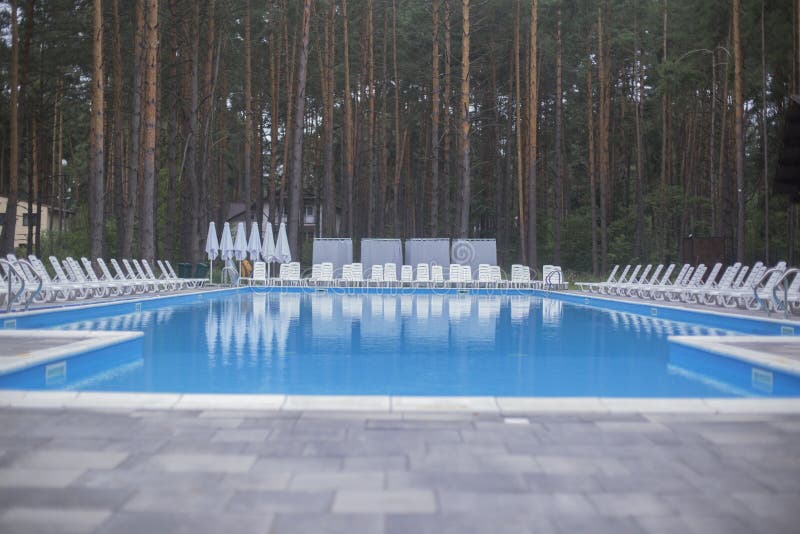 Pool in a Pine Forest for Luxury Relaxation and Spa Stock Photo - Image ...