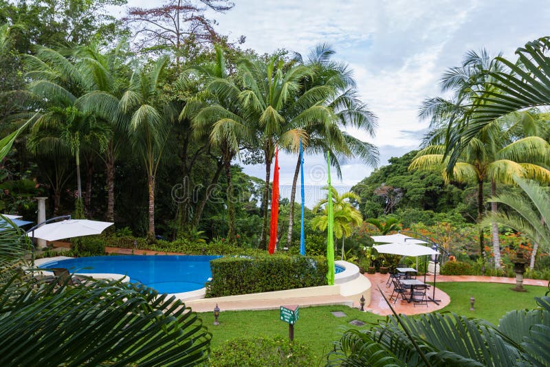 Pool in the rain forest stock image. Image of ecology - 77373625