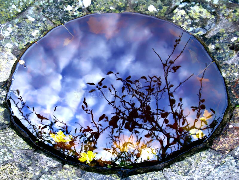Pool reflecting autumn stock image. Image of reflecting - 13165873