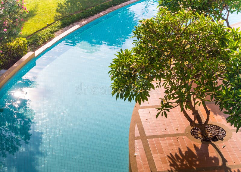 Pool and Relax Park View from High-rise Building Stock Image - Image of ...