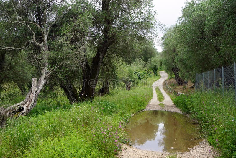 Pool on the road stock photo. Image of stone, reflection - 151396204