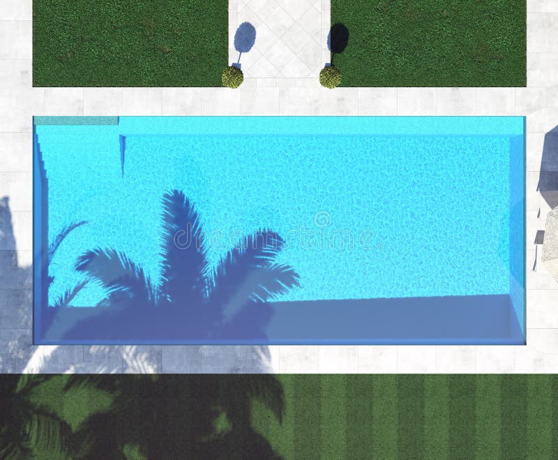 Pool with Shade from the Palm Trees. Top View 3d Rendering Stock ...