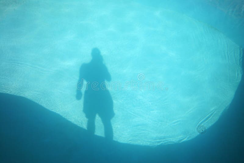 Pool shadow stock image. Image of male, pool, float, season - 1613211