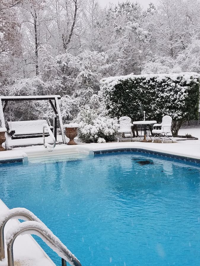 Pool in a Snow Covered Heath Landscape with Forest on a Hazy Winter Day ...