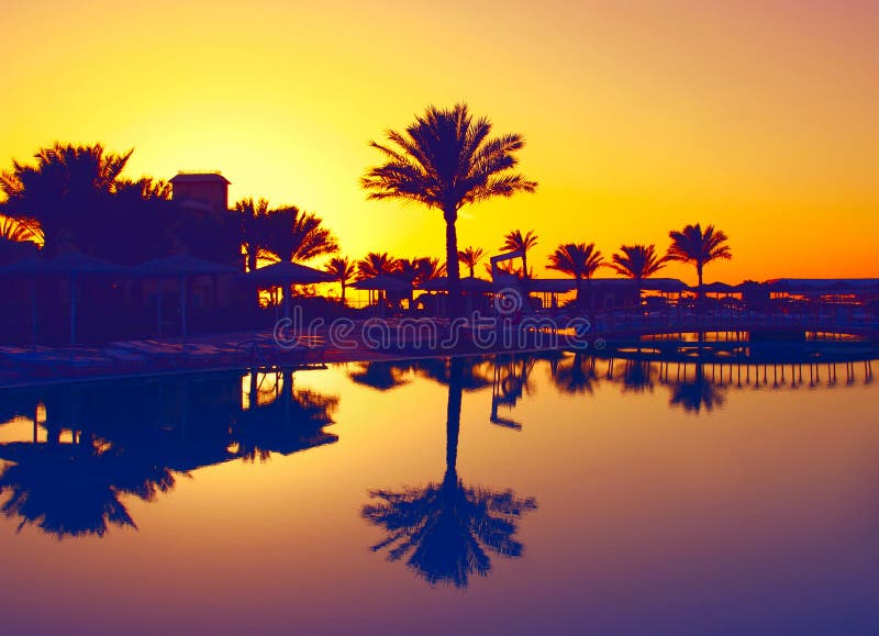 Pool sunset stock photo. Image of tree, blue, water, yellow - 4861354