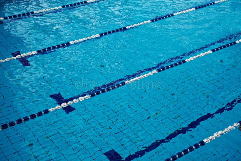 Pool stock photo. Image of swimmingpool, indoor, olympic - 31351050