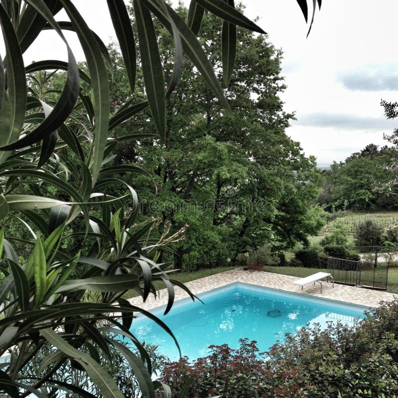 Pool stock photo. Image of vacation, water, summer, pool - 49368476