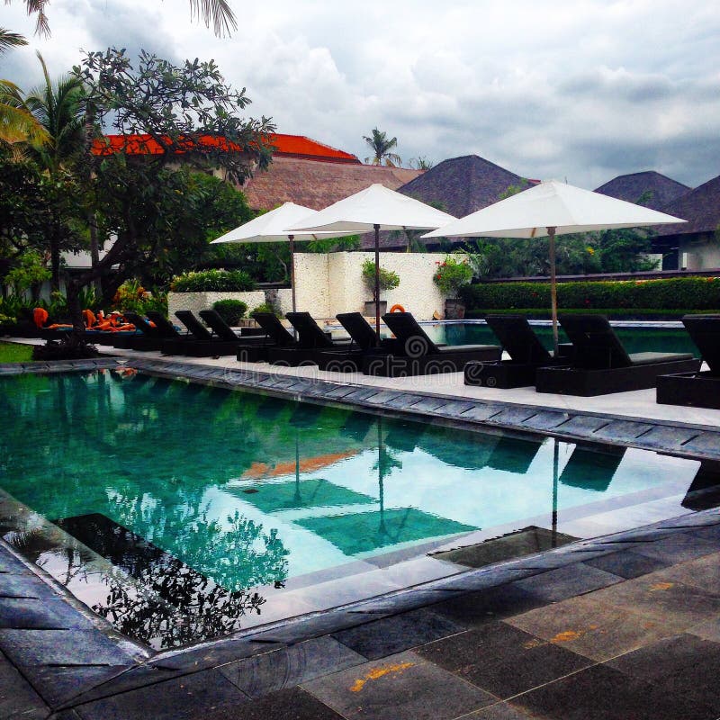 Pool Time stock photo. Image of cappuccino, brunch, cupcake - 64539968