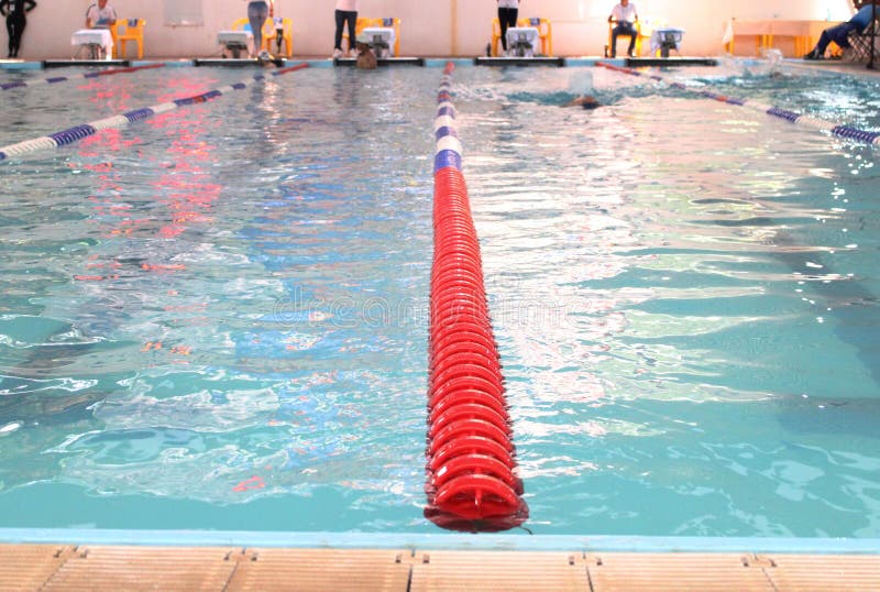 Pool To Develop a Swimming Competition Stock Image - Image of swim ...