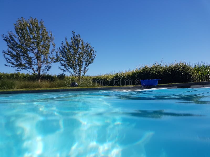 Pool with trees stock image. Image of pool, water, side - 122755405
