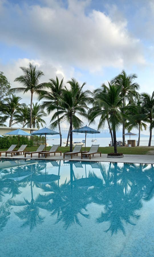 Pool in Tropical Resort, Palms and Ocean. Stock Image - Image of luxury ...