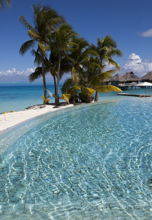 The Pool Under Palm Trees on the Seashore.Polynesia, Tahiti Stock Photo ...
