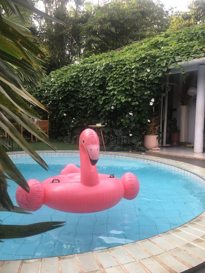 Pool vibes stock photo. Image of evening, vibes, swimming - 210048798