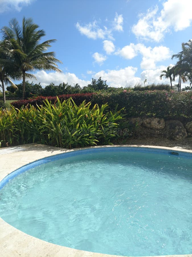 Pool view stock photo. Image of view, pool, backyard - 136210800