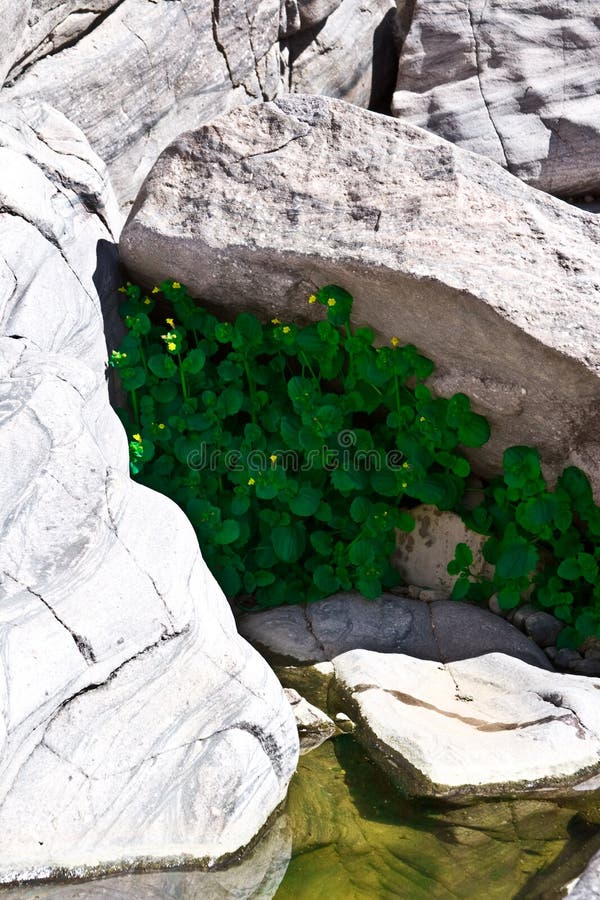 Pool of Water in Desert Rocks Stock Image - Image of pockets, high: 4832101