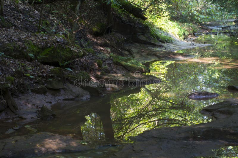 Reflecting pool stock image. Image of vividly, nature - 273247153
