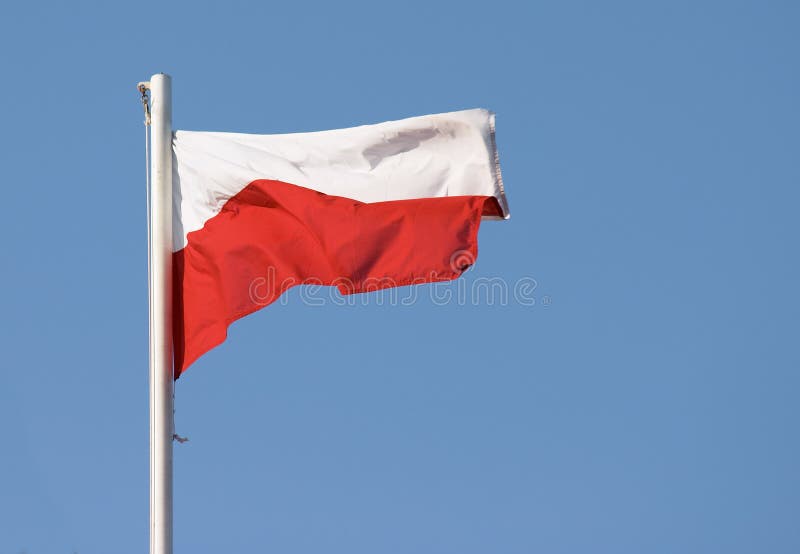 Poolse vlag stock afbeelding. Image of banier, vlaggenstok - 63303