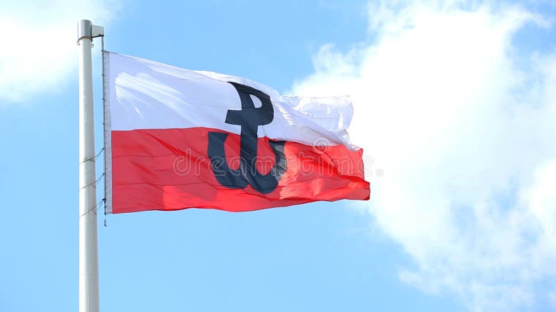 Poolse Vlag Met Het Symbool Van Het Vechten Van Polen Stock Footage ...