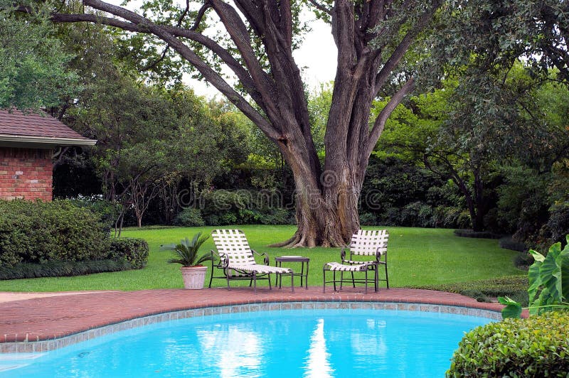 Poolside stock photo. Image of tree, pool, relax, lawn - 2344952