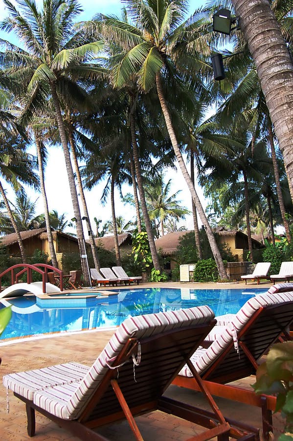 Poolside stock image. Image of paradise, pool, poolside - 2688925
