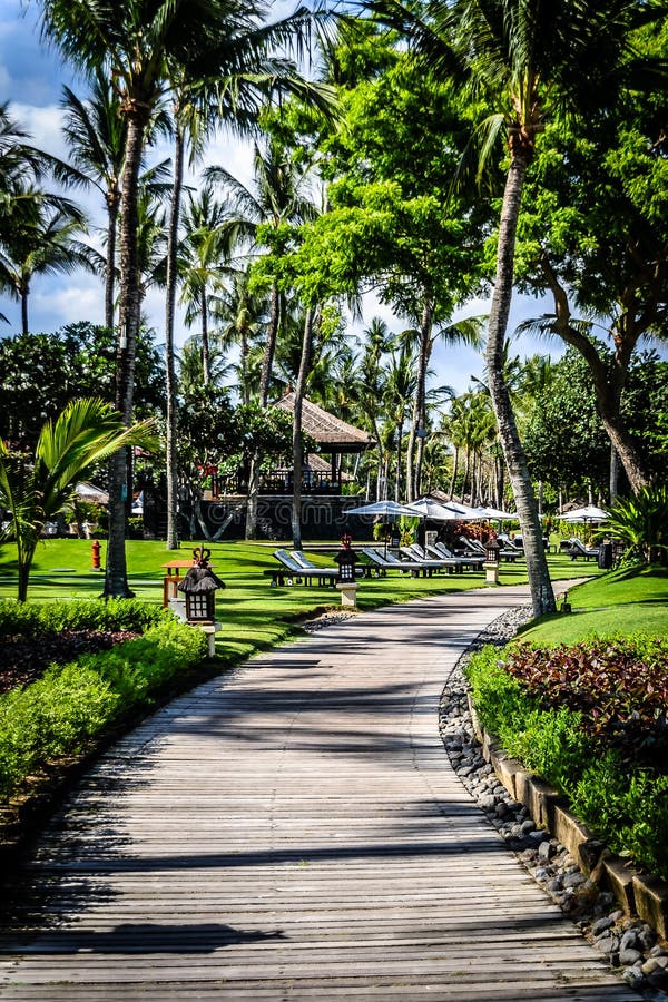 Poolside and Beach Side Lounge Chairs Ad Lounge Beds with Sun Umbrellas ...