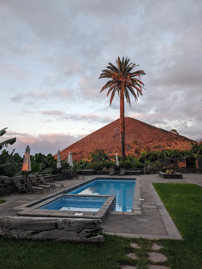 Tropical Poolside with Palm Tree and Scenic Landscape, Tenerife, Spain ...