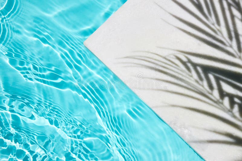 Poolside Shadow Shadow of a Palm Tree on a White Surface Next To a ...